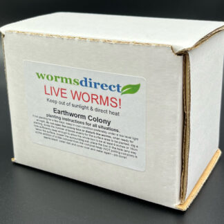Horticultural worm boxes Archives - Worms Direct