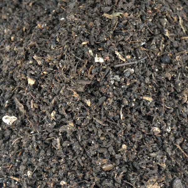 Loose Earthworms - Worms Direct