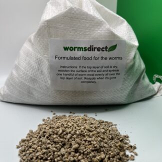 Large Lobworms (Handpicked) - Worms Direct